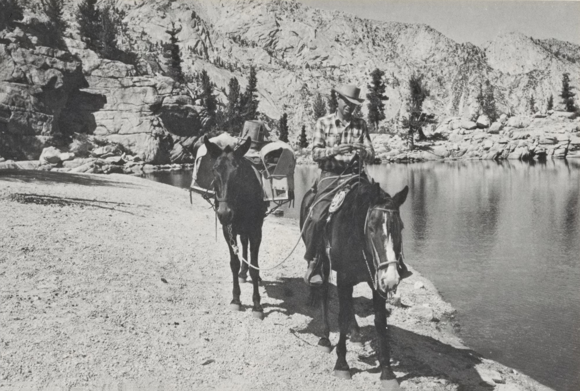 The Morgans of Mt. Whitney Pack Trains